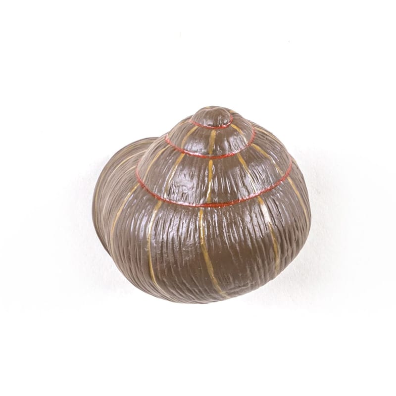 Wandhaken Snail Sleeping von Seletti - bunt | Made In Design