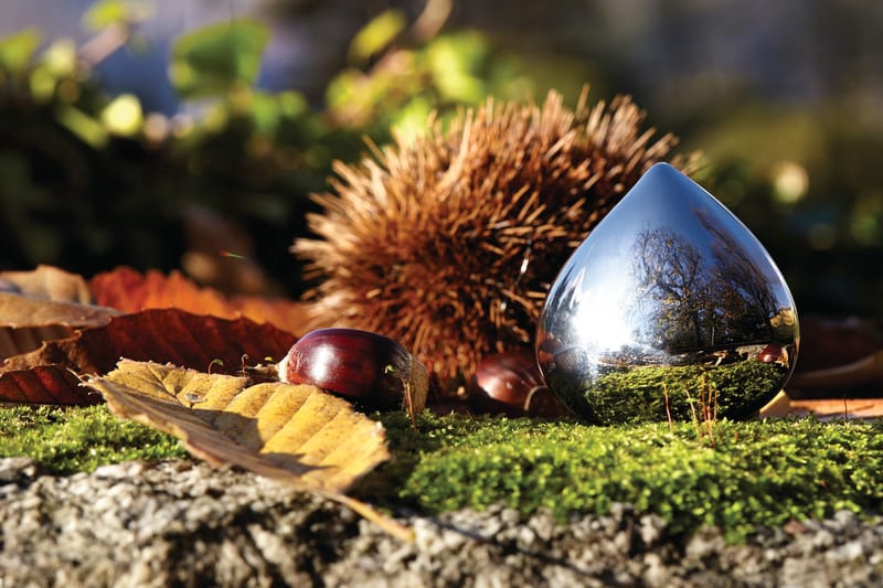 Alessi Chestnut Pill dispenser - steel | Made In Design UK