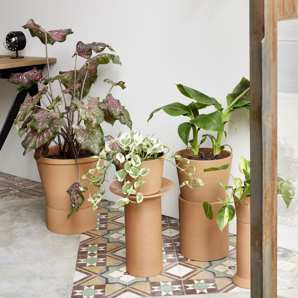 Terracotta Pots Flowerpot ceramic brown Medium O 23.5 x H 41.5 cm Vitra